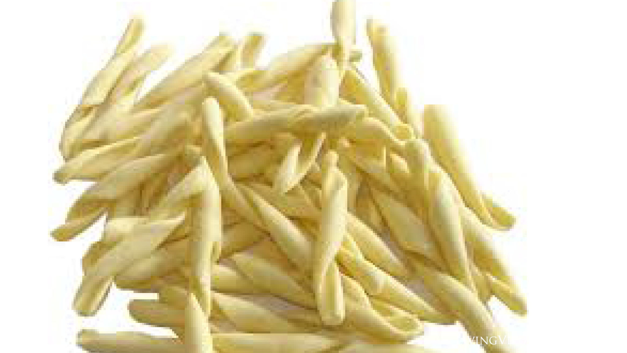 064: Translating Pasta - Living Villa Cappelli